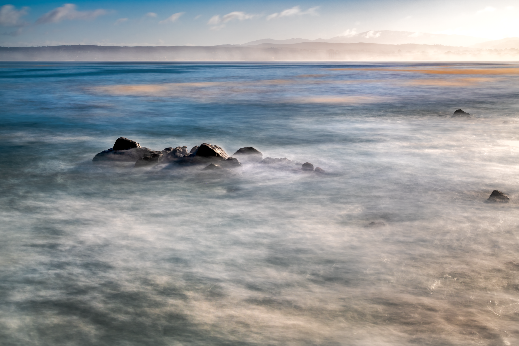 Newsroom | Monterey Bay Aquarium